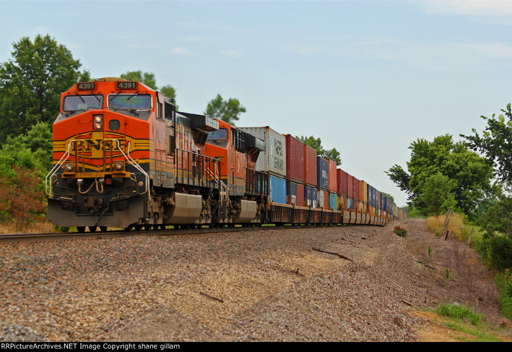 BNSF 4391 and BNSF 6793 work dpu's.